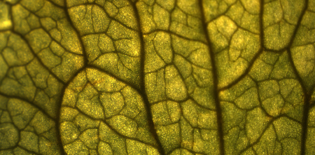 PR2021 | Emma Coates